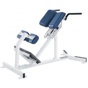 Hammer Strength Back Extension – Sportfit Inc.